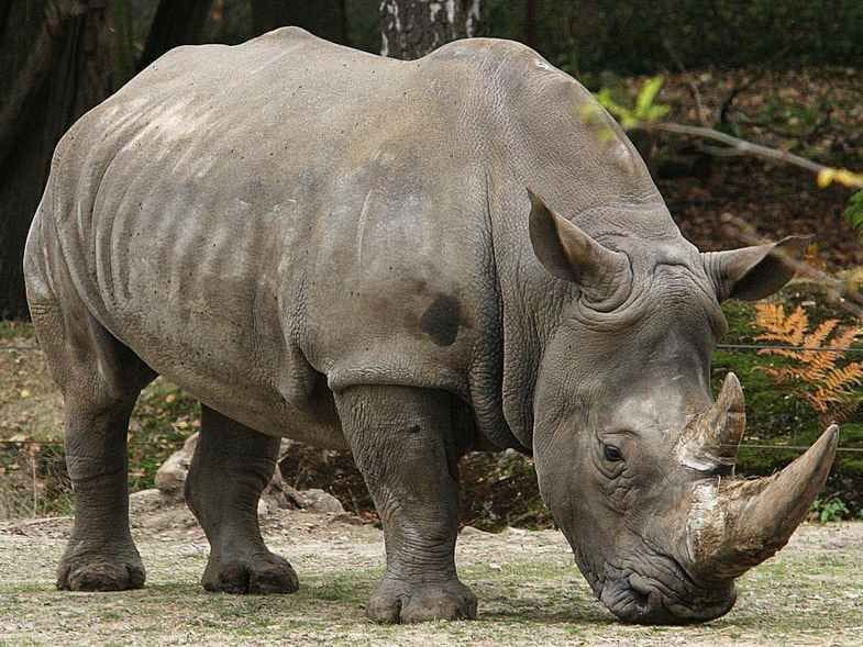 RefleqtMedia | Parcul Zoo Turda - un proiect care se cere și mai grandios