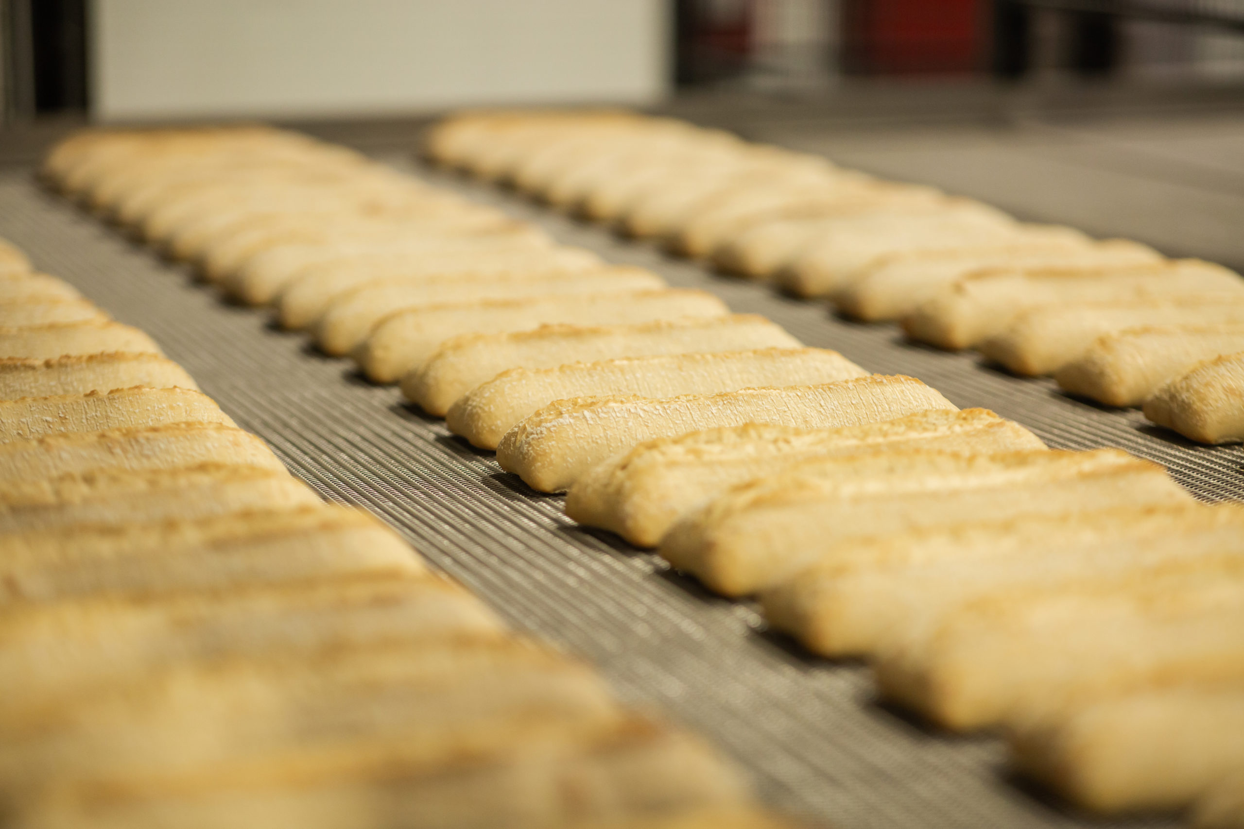 RefleqtMedia | Fabrica de panificație și patiserie pre-coaptă din ...