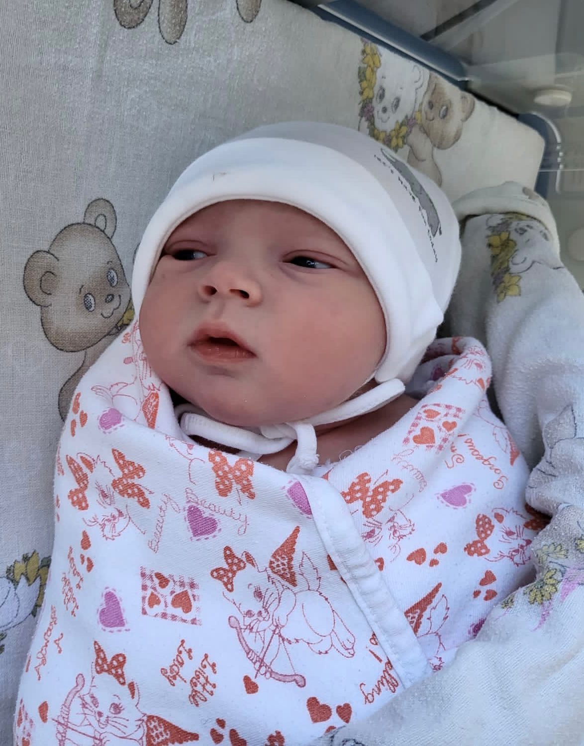 RefleqtMedia - Bucurie fără margini în familia lui Avram Gal – fiica ...