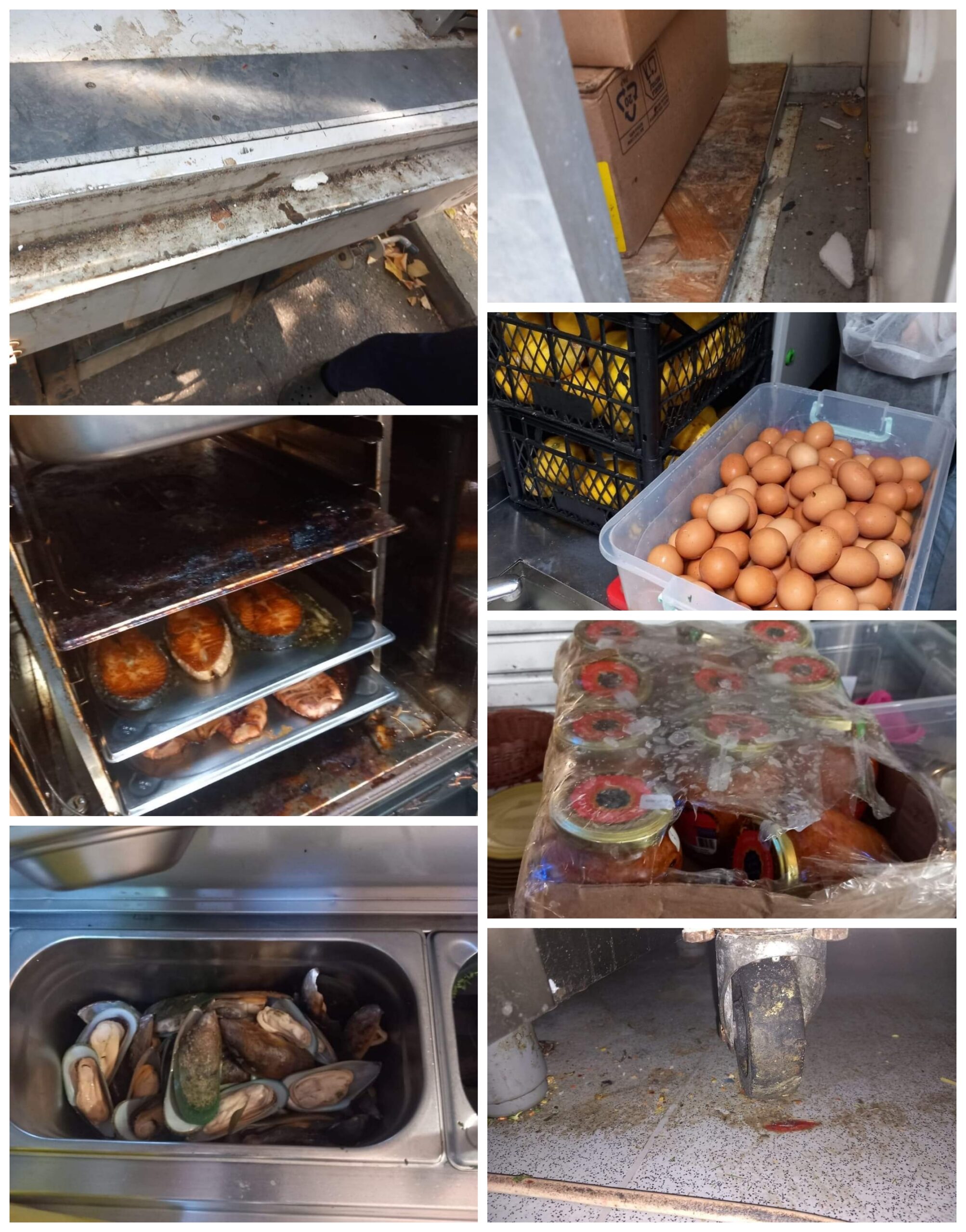 RefleqtMedia | Jeg si murdarie la Taverna Racilor